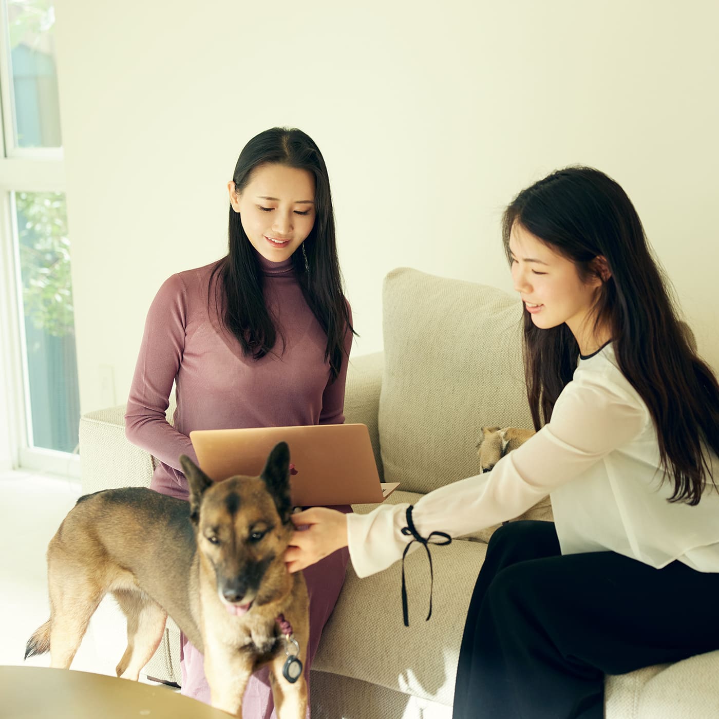 嘘のない言葉は素直な心に浸透する - YOSHI GROUP