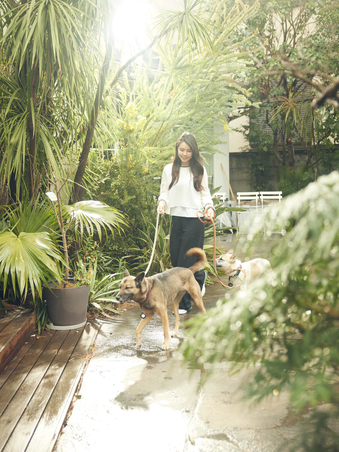 嘘のない言葉は素直な心に浸透する - YOSHI GROUP